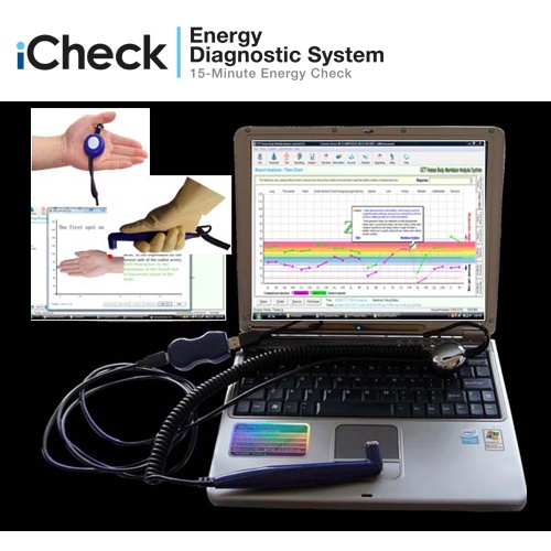 iCheck Energy Diagnostic System